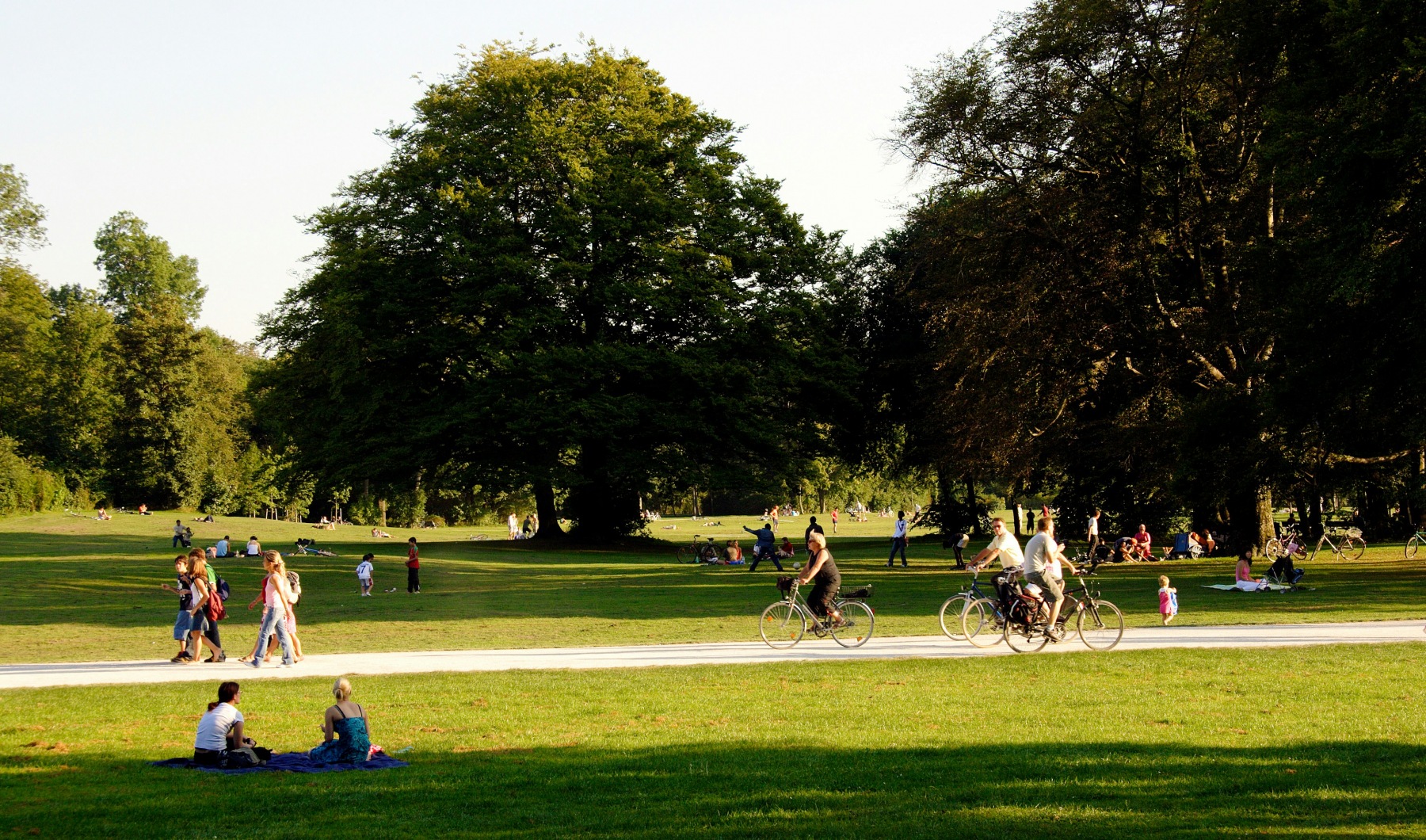 Modern Apartments in North Austin, TX | Progress at Tech Ridge